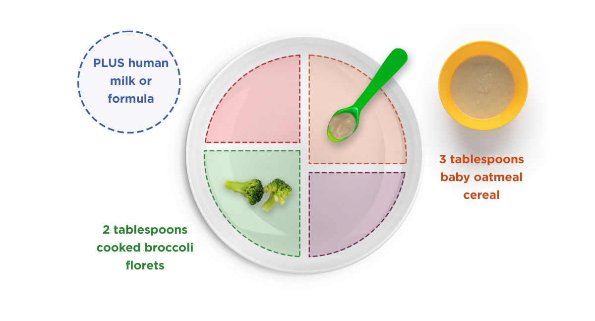 6 to 12 Months – Indiana Wic